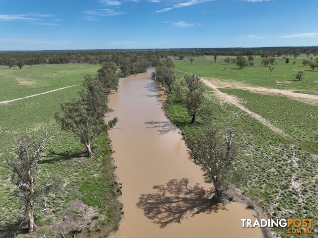 Items for Sale in Roma, QLD 4455, QLD within 250KM