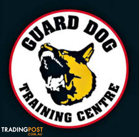 Dogs for Sale