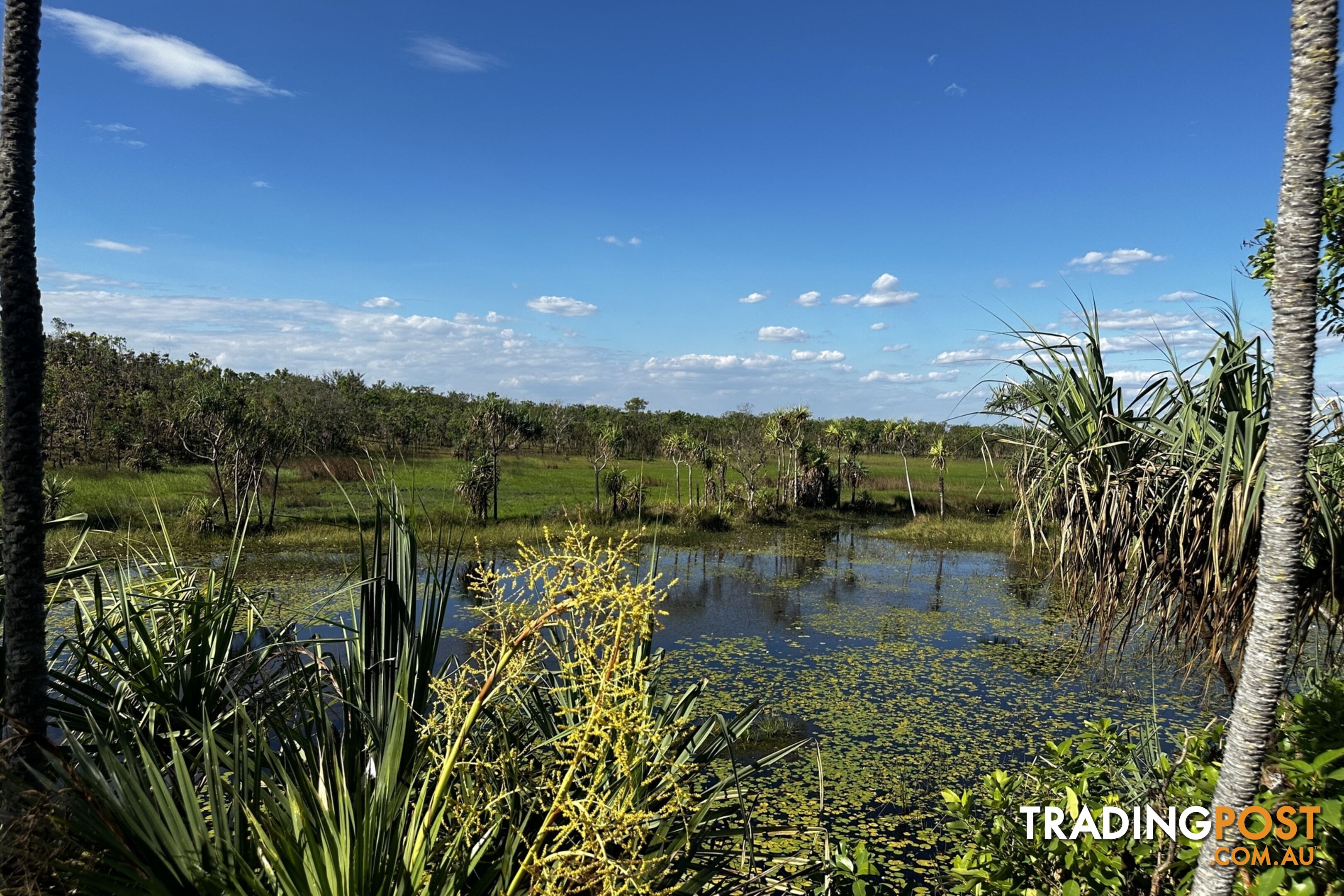 Darwin River NT 0841