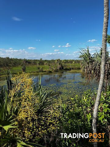 Darwin River NT 0841