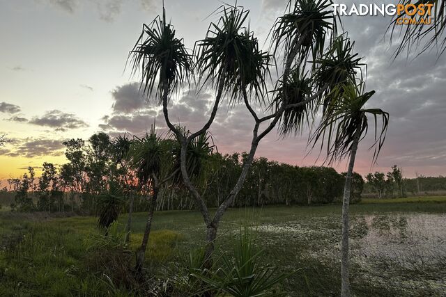 Darwin River NT 0841