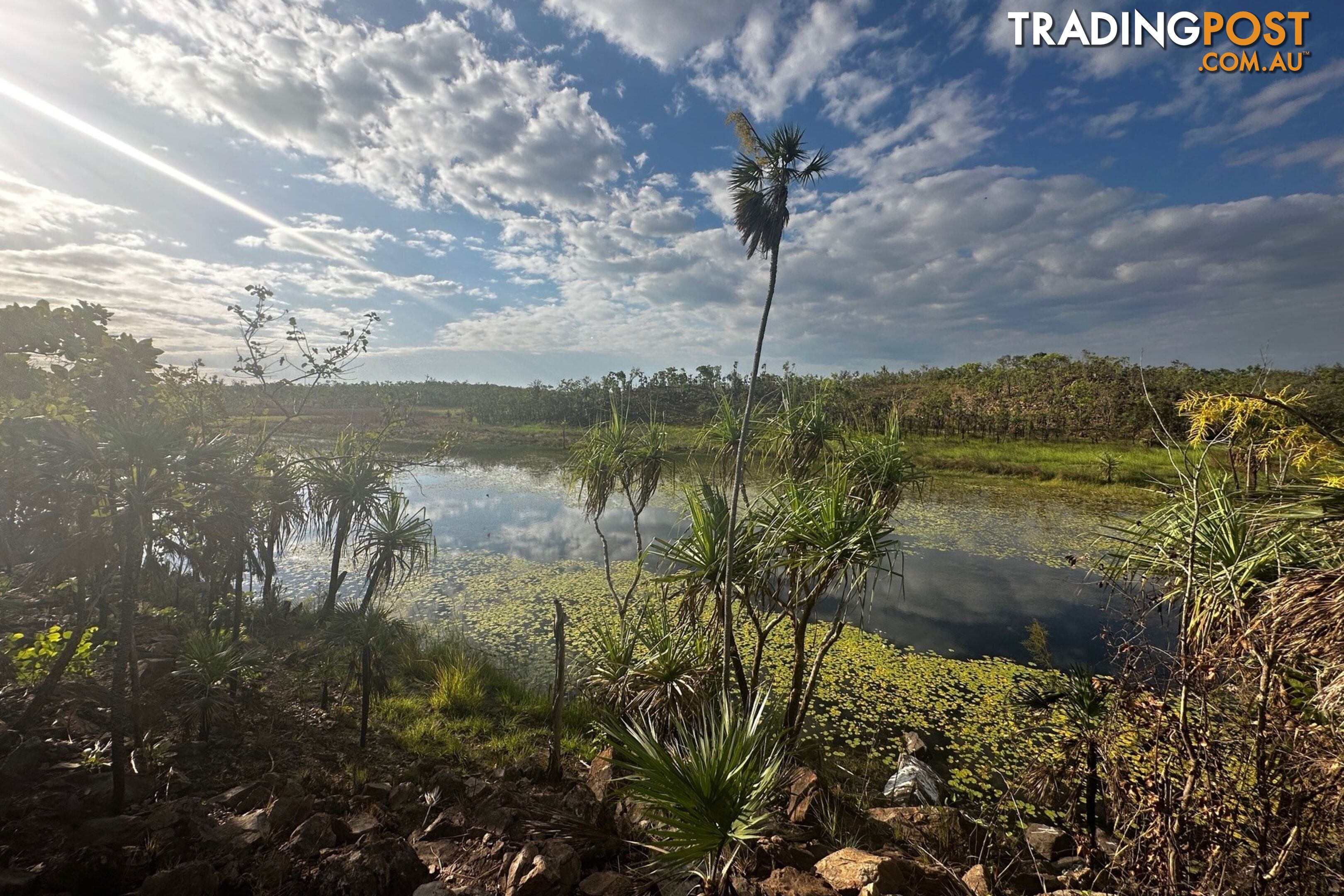 Darwin River NT 0841
